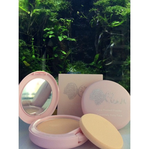 Harga Kiwiclinic Terbaru Agustus 2024 |BigGo Indonesia