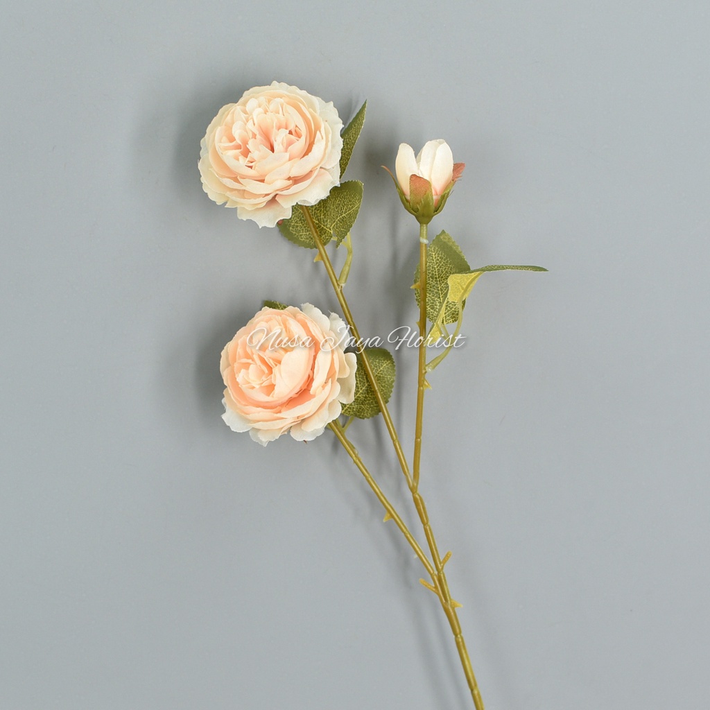 Jual Bunga Peony 3 Cabang Panjang 65cm (Autumn) | Shopee Indonesia