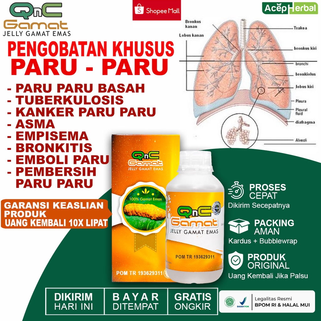 Jual Obat Paru Paru Bronkitis Paru Paru Basah TBC Tuberkulosis Kanker ...
