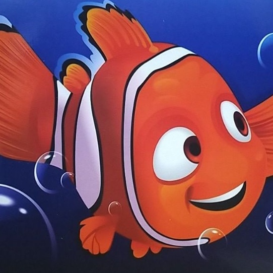 Harga Ikan Dori Nemo Terbaru Des 2025 | BigGo Indonesia