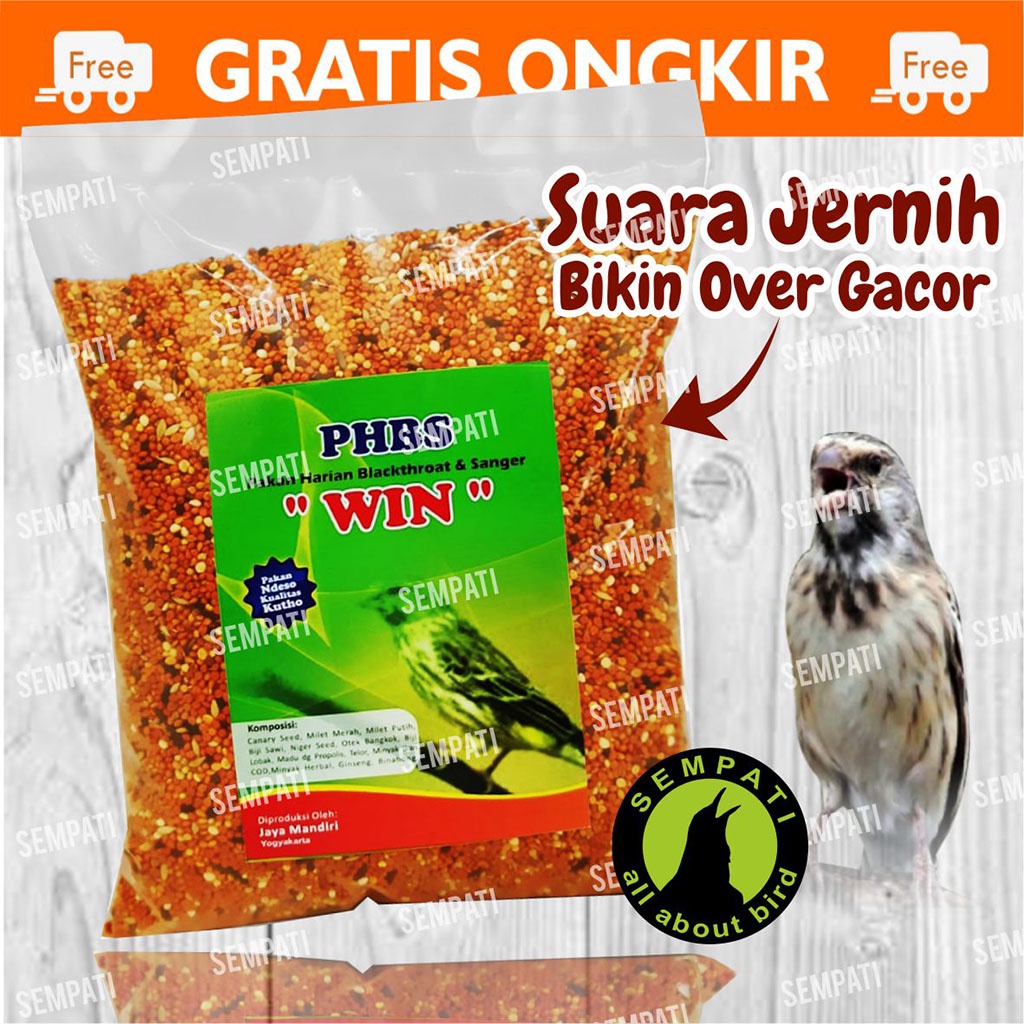 Jual sanger Harga Terbaik & Termurah Maret 2023 | Shopee Indonesia