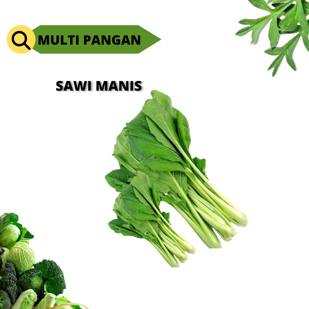 Produk Multi Pangan MALANG | Shopee Indonesia