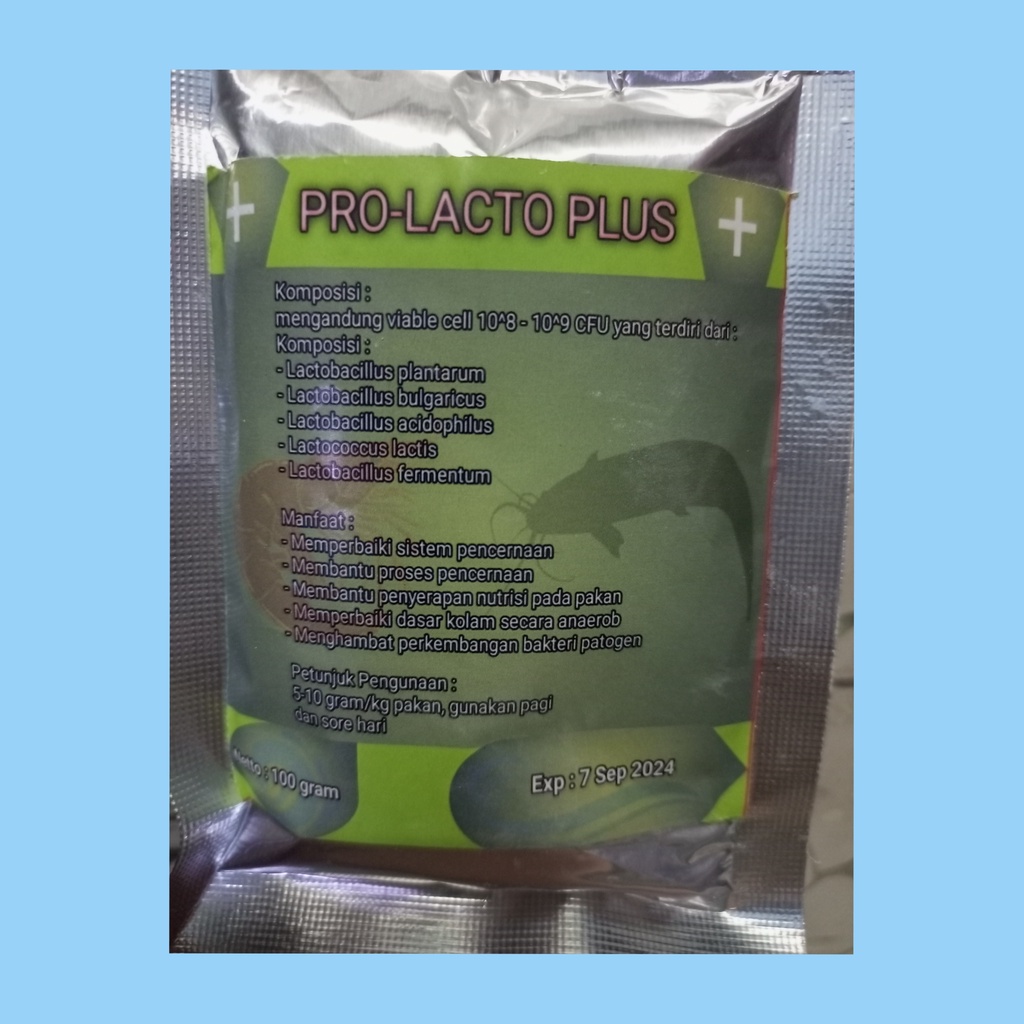 Harga Probiotik Lactobacillus Terbaru Nov 2024 |BigGo Indonesia