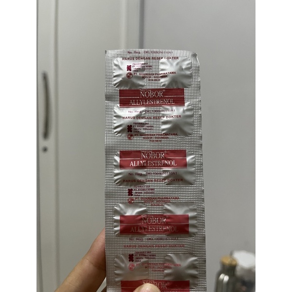 Harga Nobori Terbaru Juni 2023 |BigGo Indonesia