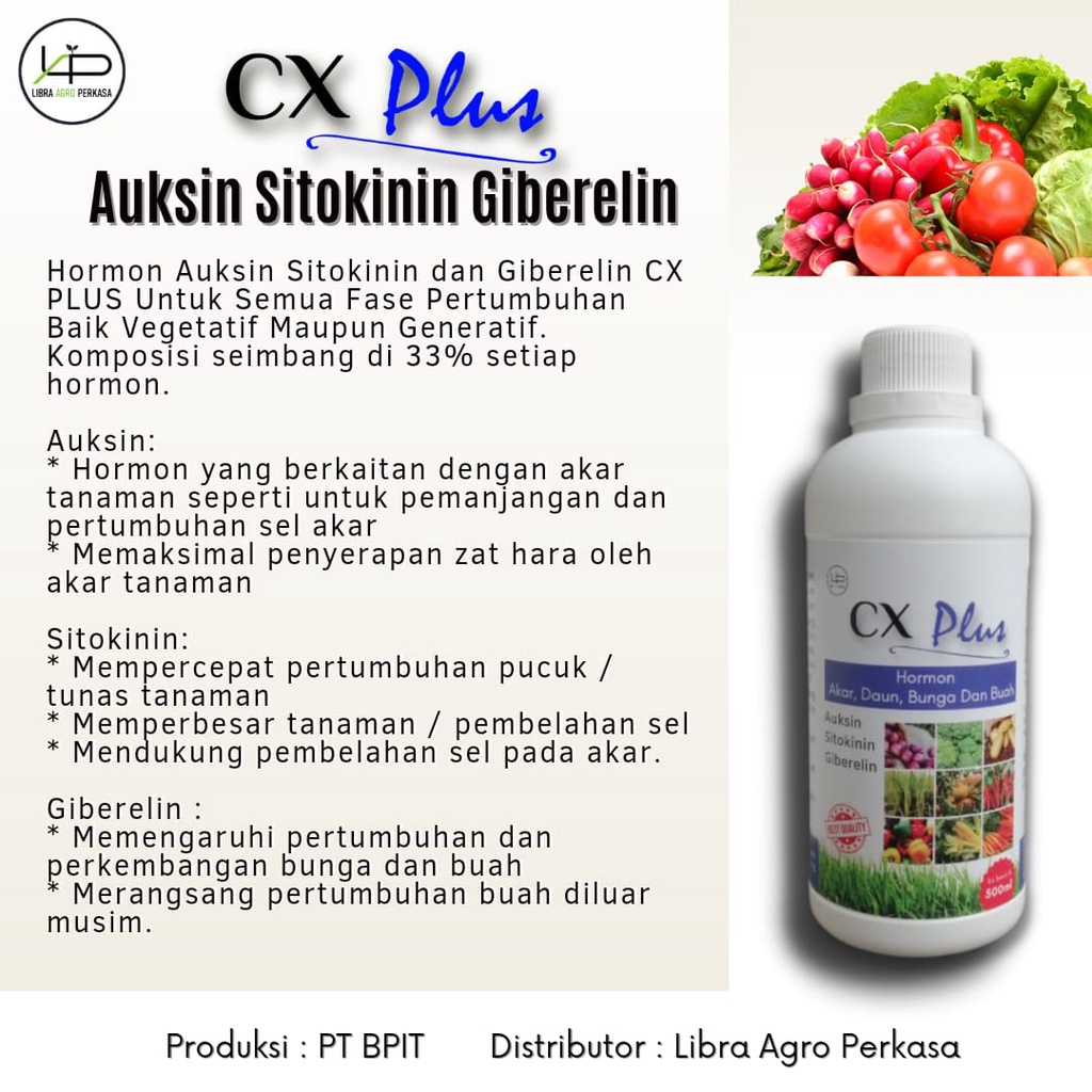Harga cxplus Terbaru Sep 2024 |BigGo Indonesia