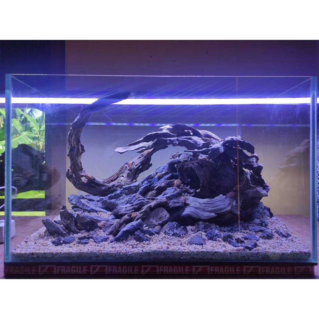 Jual Kayu Rentek Aquascape, Paludarium, Size XS (mini) | Shopee Indonesia