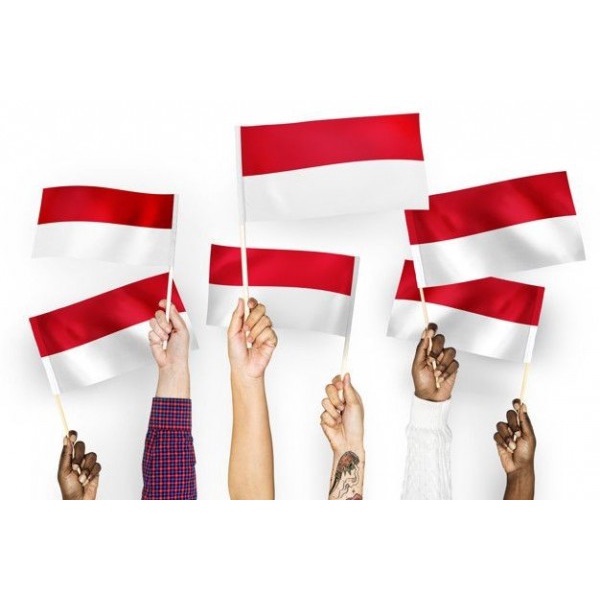 Jual Bendera Tangan Merah Putih (Bendera Indonesia ) | Shopee Indonesia