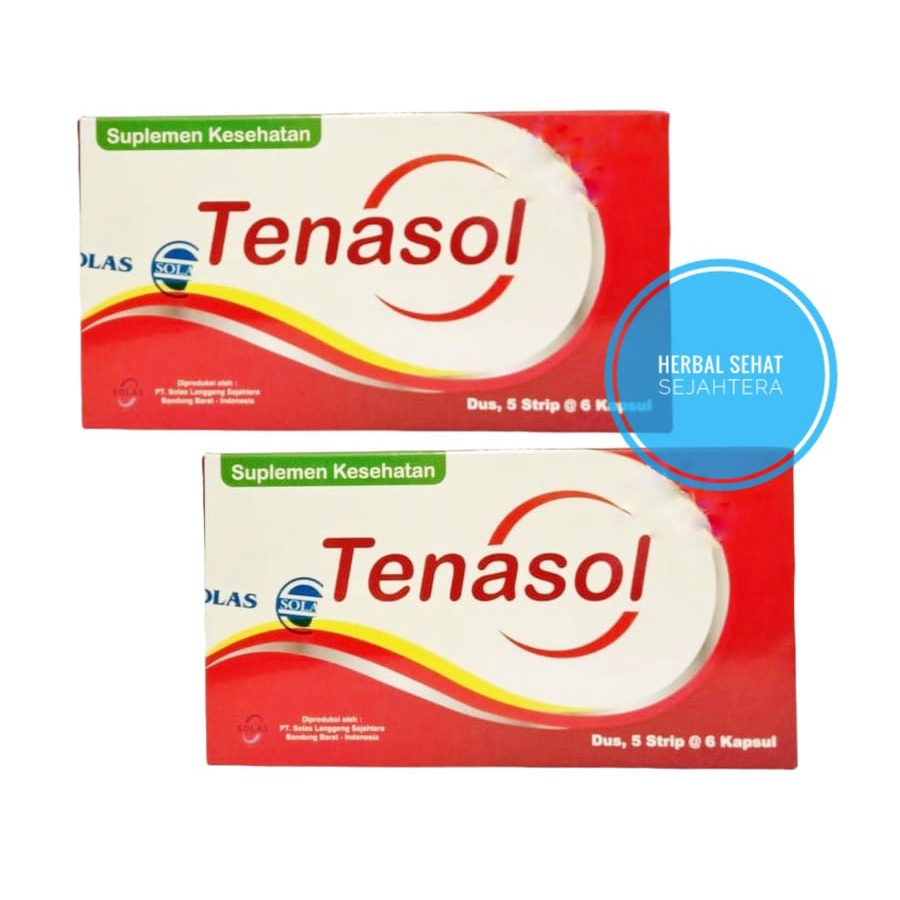 Harga Tenasol Terbaru April 2024 |BigGo Indonesia