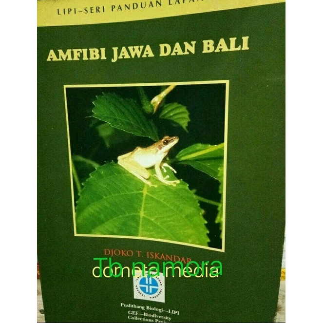 Harga amfibi jawa dan bali Terbaru Mar 2026 | BigGo Indonesia