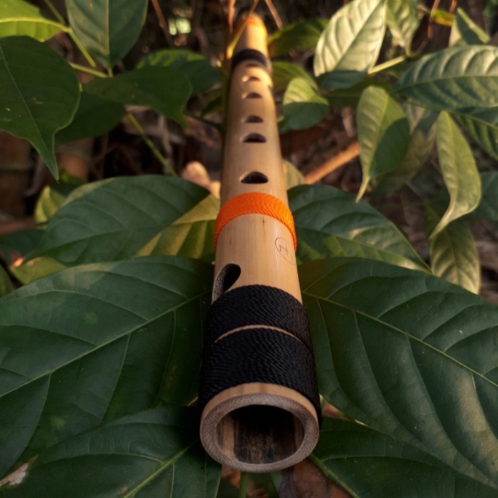 Harga Bansuri Terbaru Agustus 2024 |BigGo Indonesia