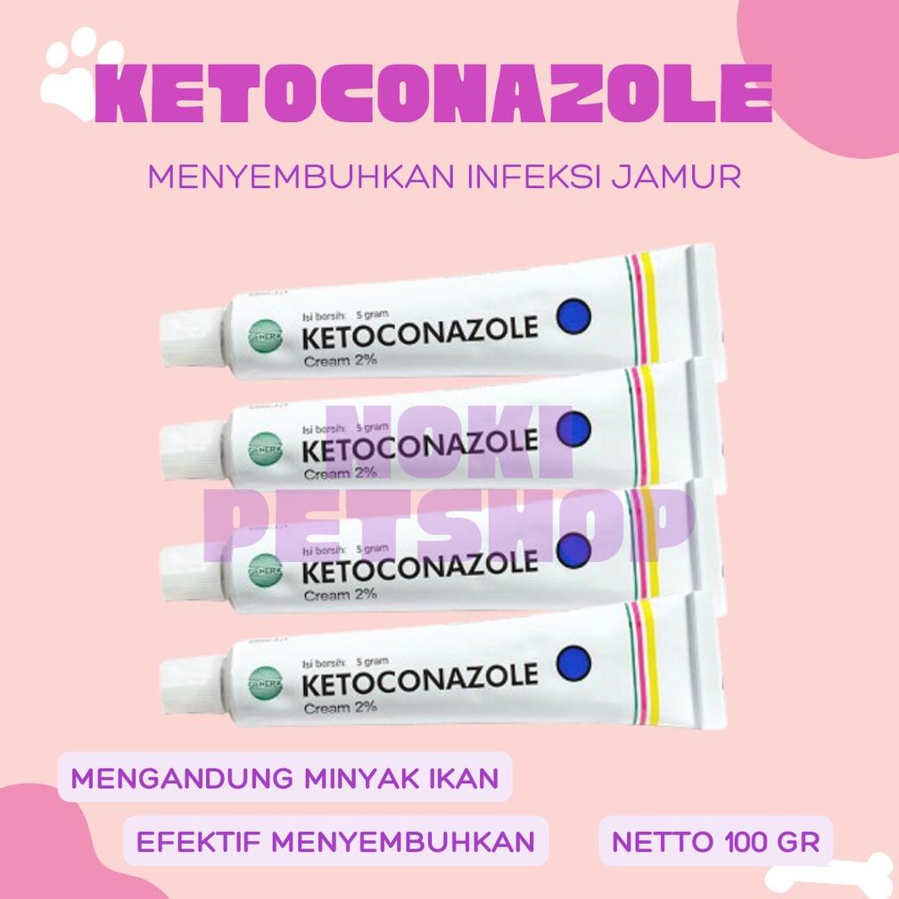 Harga Formico Terbaru Februari 2024 |BigGo Indonesia