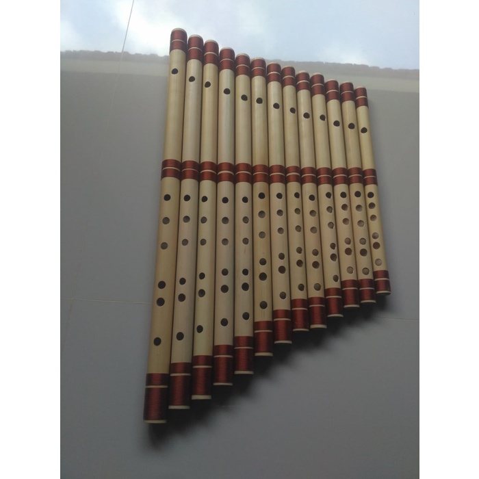 Harga Suling Dangdut Siap Pentas Terbaru Jan 2025 |BigGo Indonesia