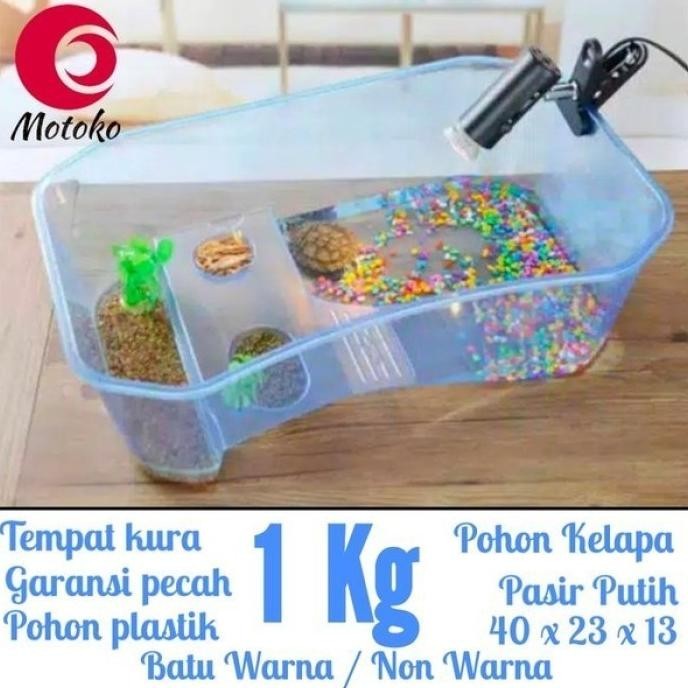 Harga Vivarium BOX Turtle Terbaru Sep 2024 |BigGo Indonesia