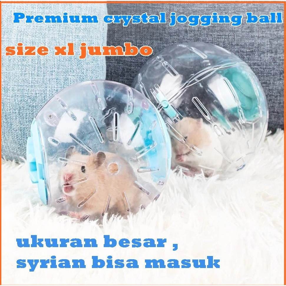 Harga Jogging Ball Hamster Syrian Terbaru Mar 2025 | BigGo Indonesia