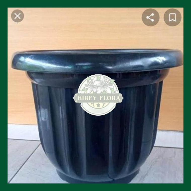 Harga POT 60CM Gloria Terbaru Des 2025 | BigGo Indonesia