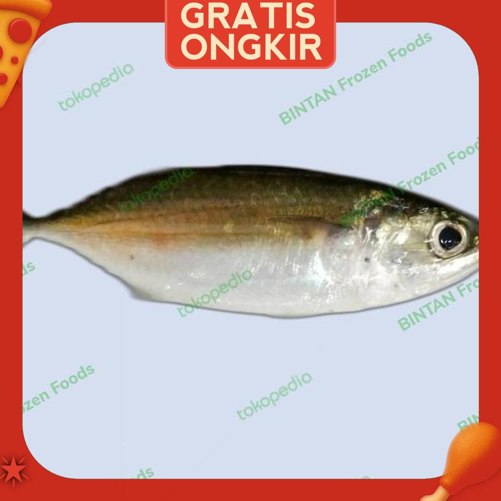 Harga ikan kembung fresh 1 kg Terbaru Apr 2026 | BigGo Indonesia