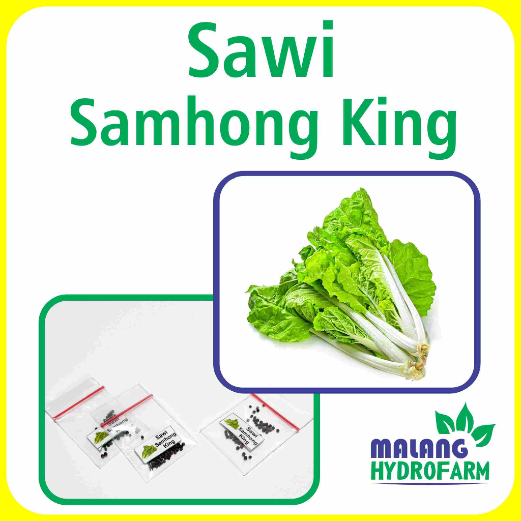 Jual Benih Sawi Samhong King Unggulan Berkualitas biji bibit repack ...