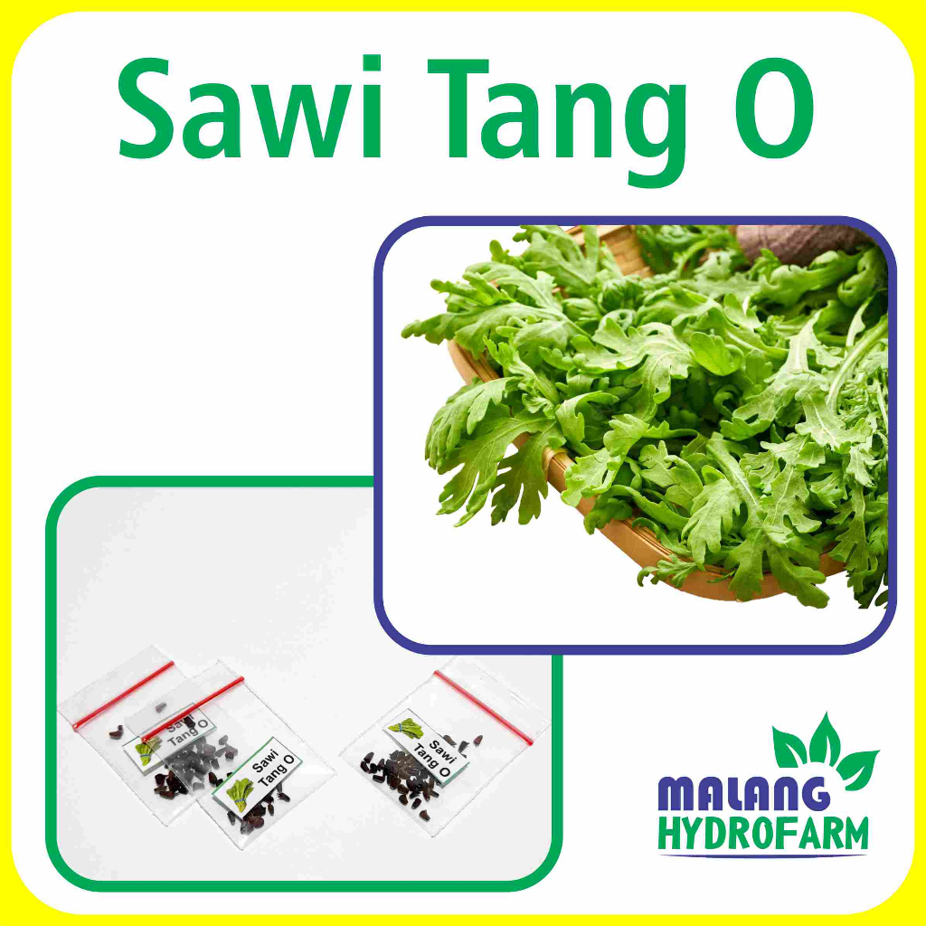 Jual Benih Sawi Tang O Unggulan Berkualitas biji bibit repack Ho Taiwan ...