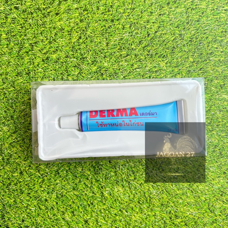 Jual DERMA Obat Salep Bubul Ayam ORI THAILAND | Shopee Indonesia