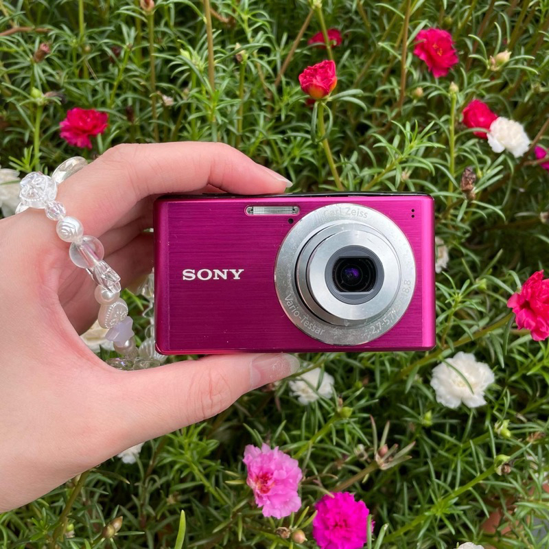 Jual Sony Cybershot DSC W610 digicam digital camera | Shopee Indonesia