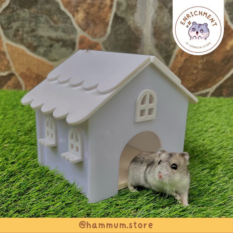 Jual Rumah Hamster | Hamster Hideout | Acrylic Hideout Hamster Dwarf Syrian | Rumah Kandang ...