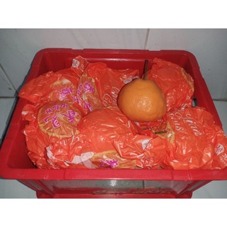 Jual GIFT BOX IMLEK - JERUK CHUN JIAN RRC 2,5KG PER KERANJANG | Shopee ...