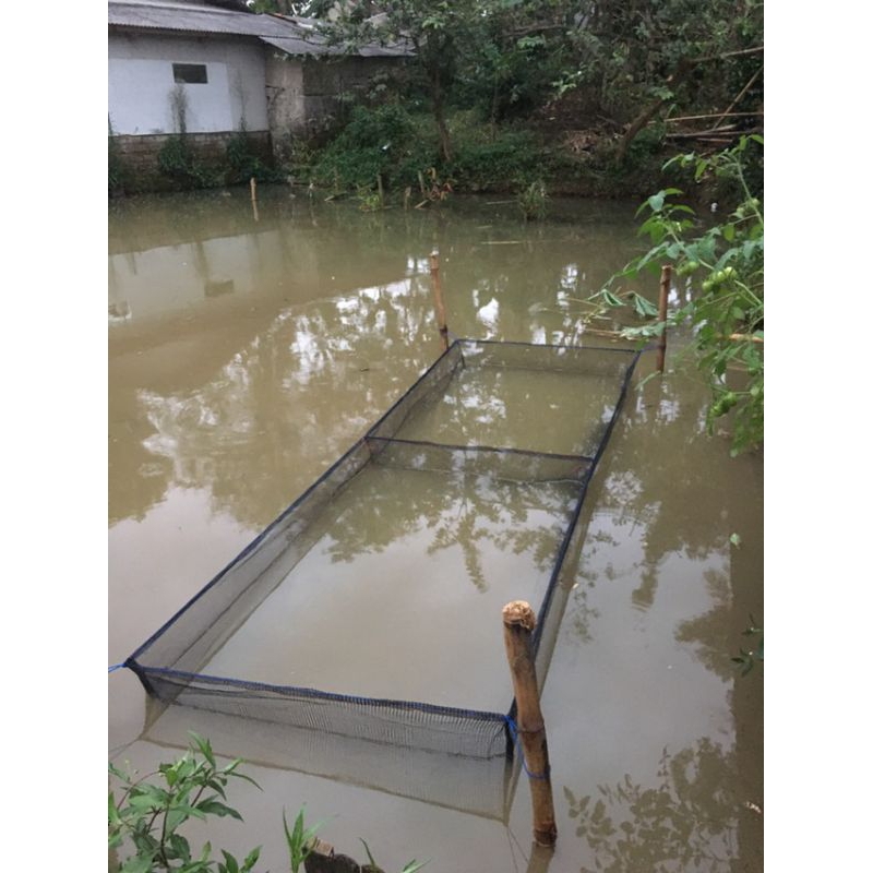 Jual keramba kramba jaring apung sekat 4x2x50 jaring kotak waring ikan ...