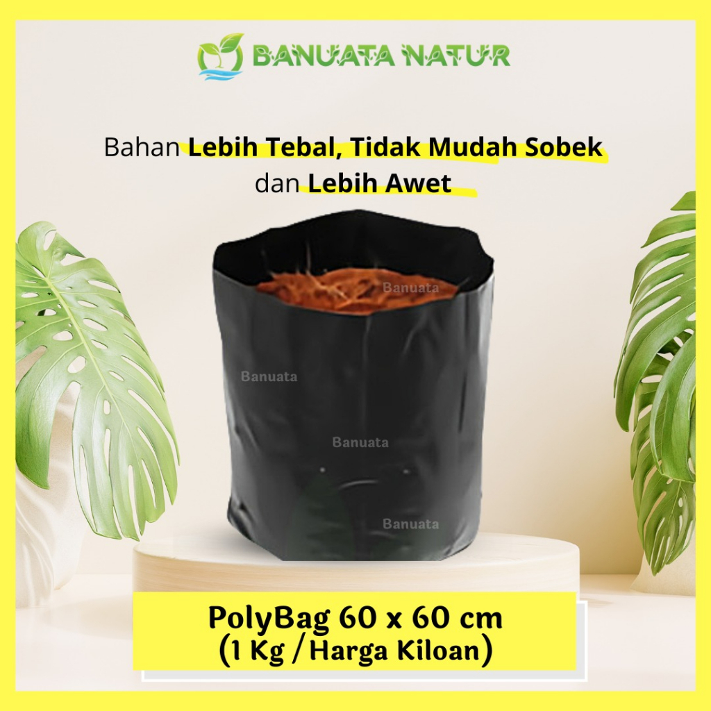 Jual Polybag Ukuran 60 X 60 Untuk Tanaman Berkualitas - Banuata | Shopee Indonesia