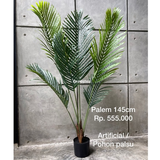 Jual Pohon Hias PALEM Tinggi 145cm / Pohon Hias Palsu / Artificial ...