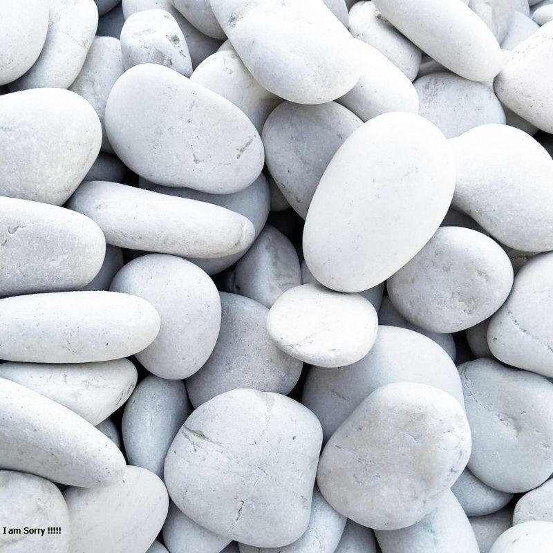 Jual Jual Batu Koral putih 1kg/Batu Tanaman | Shopee Indonesia