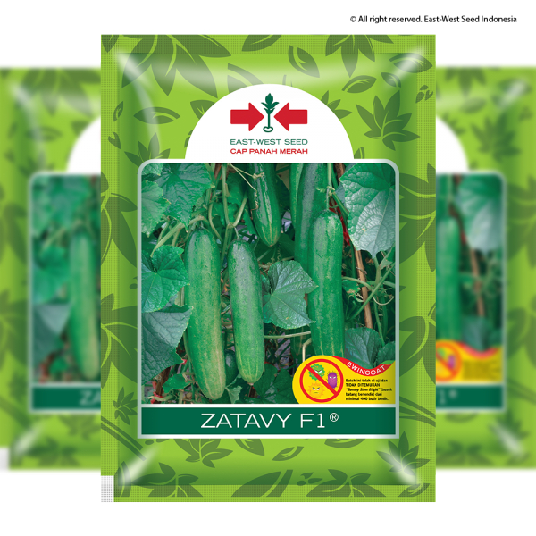 Jual Benih Panah Merah Timun Zatavy F1 isi 150 butir / seeds | Shopee ...