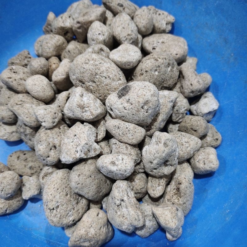 Jual Batu apung beneran ngapung pumice untuk media filter kolam size 2 ...