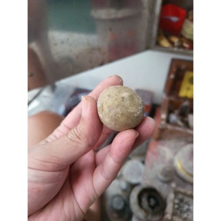 Jual Kentos Kelapa original | Shopee Indonesia