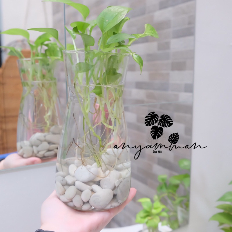 Jual Batu Coral Putih Batu Hias Aquarium dan Taman Batu Koral Kerikil ...