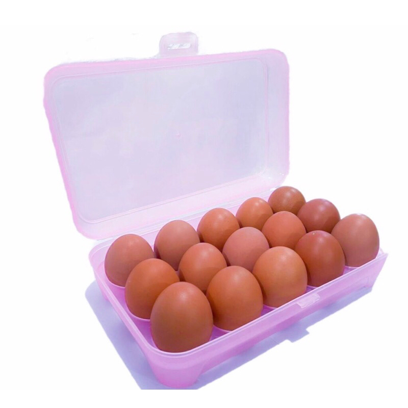 Jual Tempat Telur Plastik | Shopee Indonesia