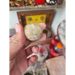 Jual Kentos Kelapa original | Shopee Indonesia