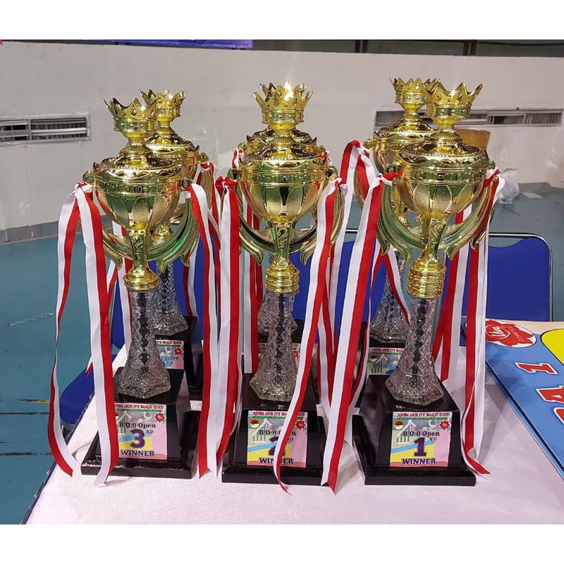 Jual PIALA TROPHY | Shopee Indonesia