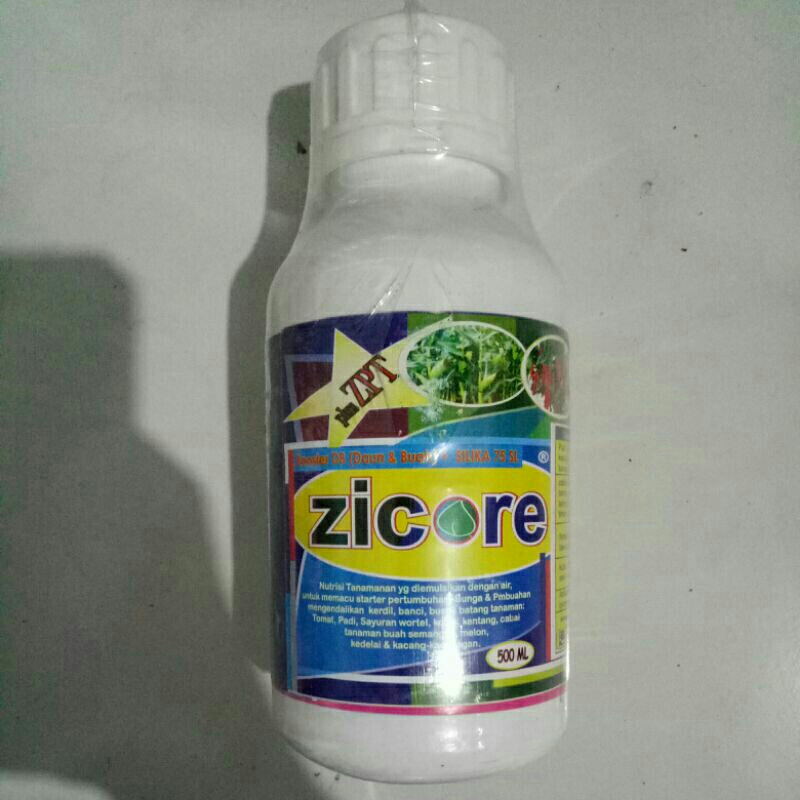 Harga Zicore Terbaru Juni 2023 |BigGo Indonesia