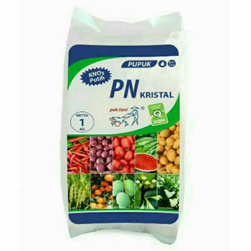 Harga KN03 PN Kristal Terbaru Sep 2025 | BigGo Indonesia