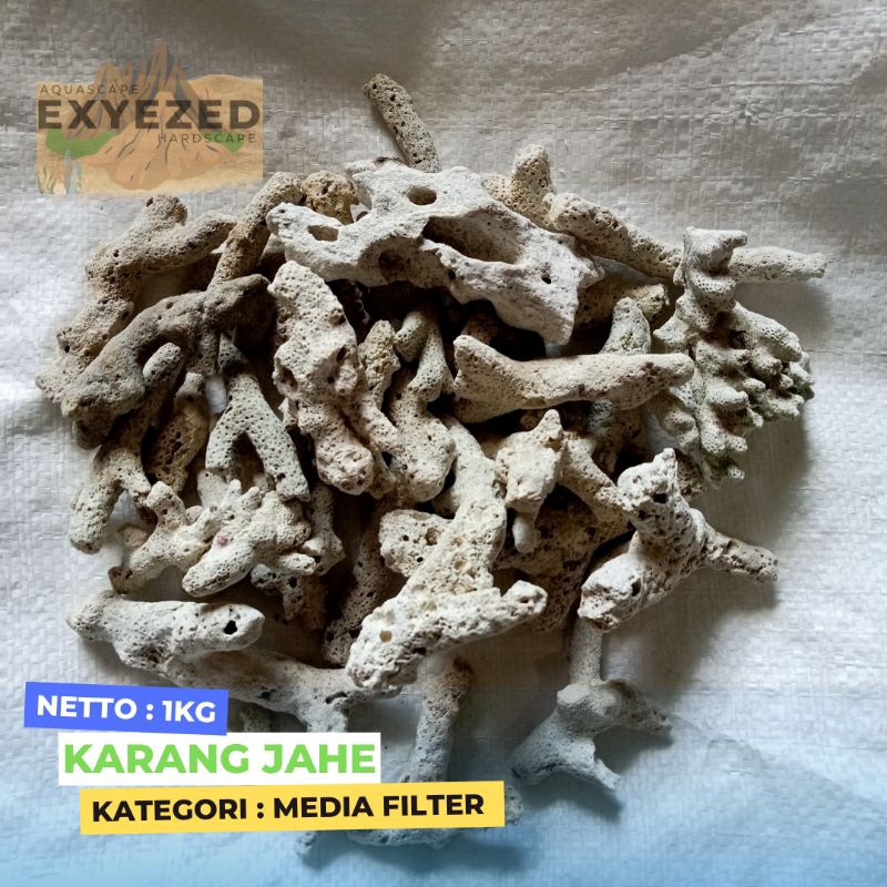 Jual Karang Jahe Media Filter dan Menaikkan PH Air Aquarium atau kolam ...