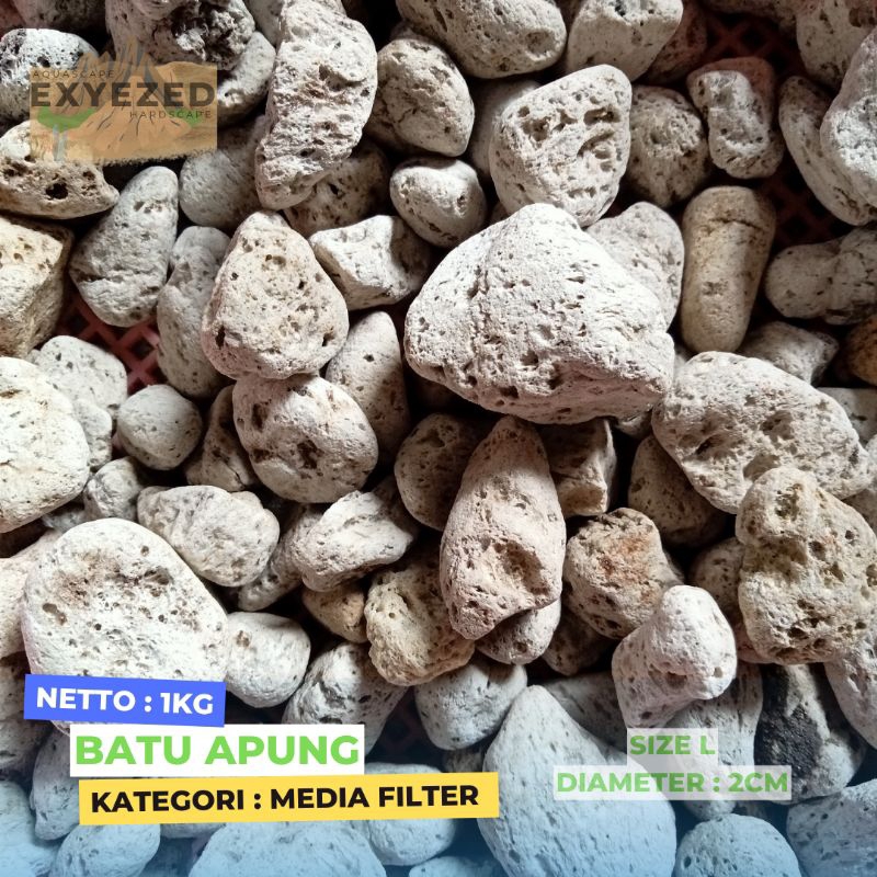 Jual Batu Apung / Batu Pumice Media Filter Aquarium Kolam Koi | Shopee ...