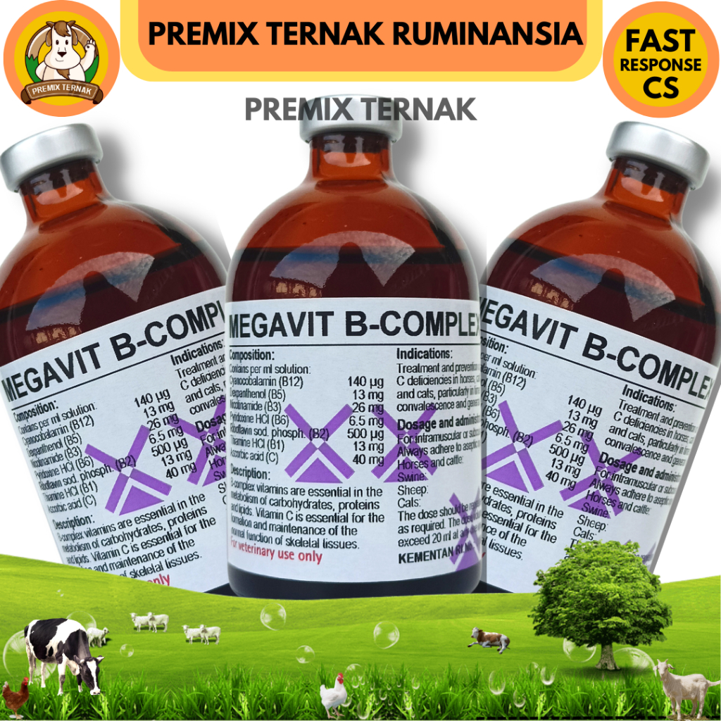 Harga Multivitamin Injeksi Terbaru September 2023 |BigGo Indonesia
