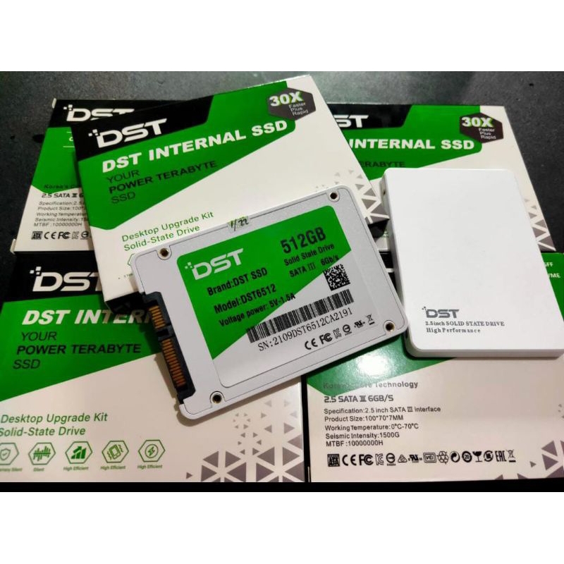 Harga DST SSD 256GB Terbaru Jan 2025 |BigGo Indonesia