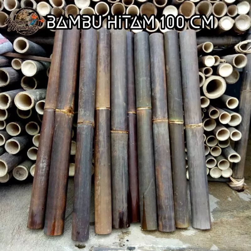 Harga Bambu Panjang 1 Meter Terbaru Des 2025 | BigGo Indonesia