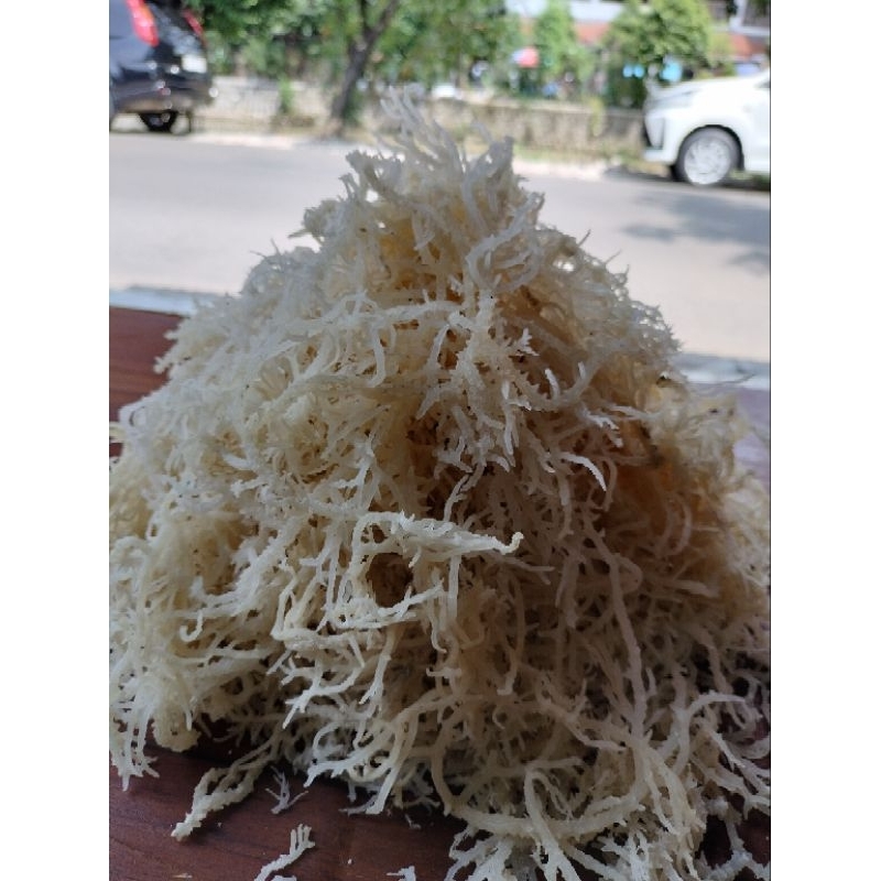 Produk King seaweed | Shopee Indonesia