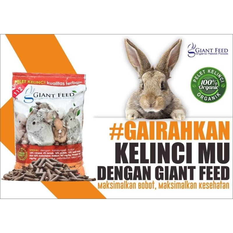 Produk sk_rabbit | Shopee Indonesia