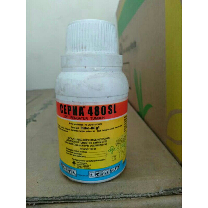 Harga Cepha Terbaru Februari 2024 |BigGo Indonesia