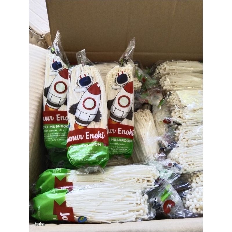 Harga Enoki Terbaru Februari 2024 |BigGo Indonesia