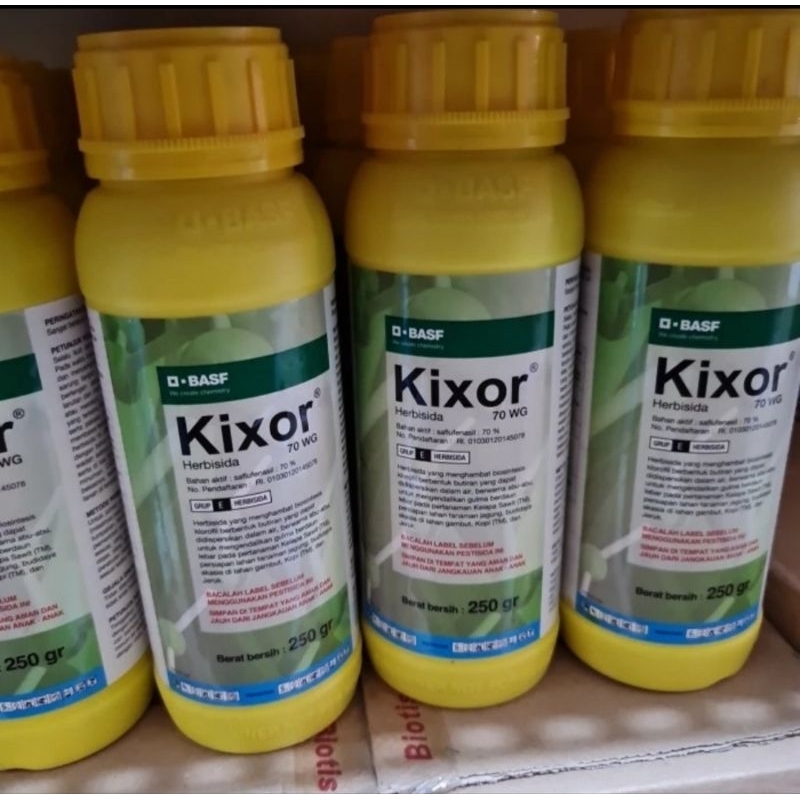 Harga Kixor Terbaru Agustus 2023 |BigGo Indonesia