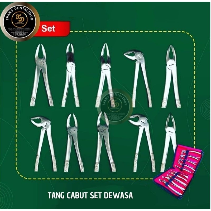 Harga Tang Gigi Dewasa Germany Terbaru Des 2025 | BigGo Indonesia